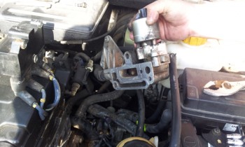 Losing Coolant | Suzuki Forums